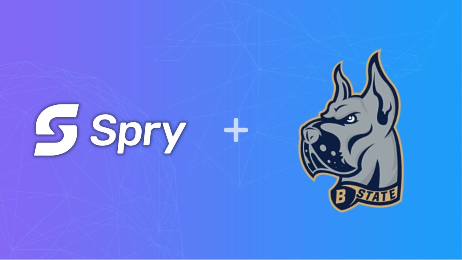 About Us | Spry